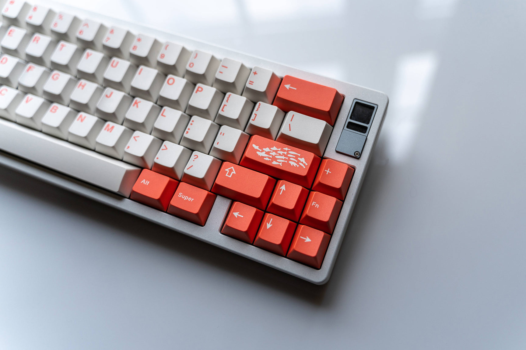 GMK CYL Coral R2 – Oblotzky Industries