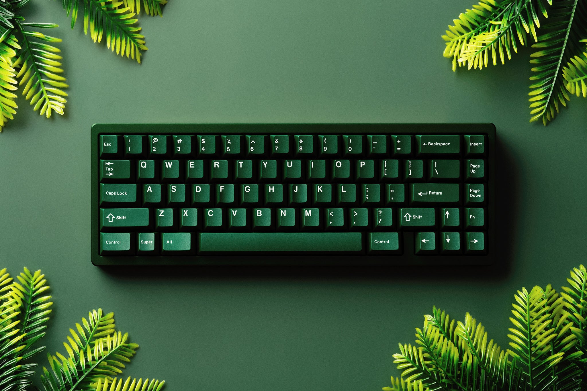 Singa Kohaku – Oblotzky Industries